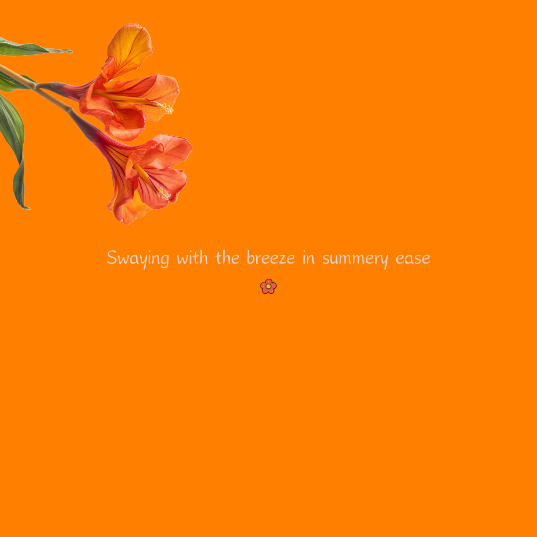 Feel the Breeze – Swanky.india